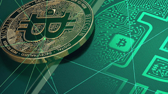 Learn How to Invest in ICO with This ICO for Dummies Course