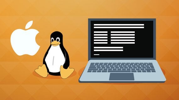 Mac and Linux for Beginners: Learn Unix / Linux Commands Easily