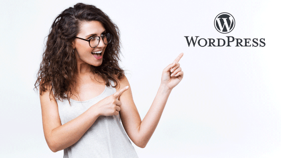 WordPress For Dummies: Learn How To Launch WordPress Site